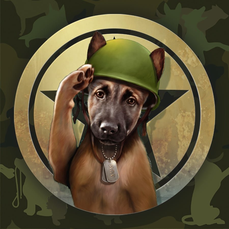 Dog Training Success Stories | Master Of Puppies
